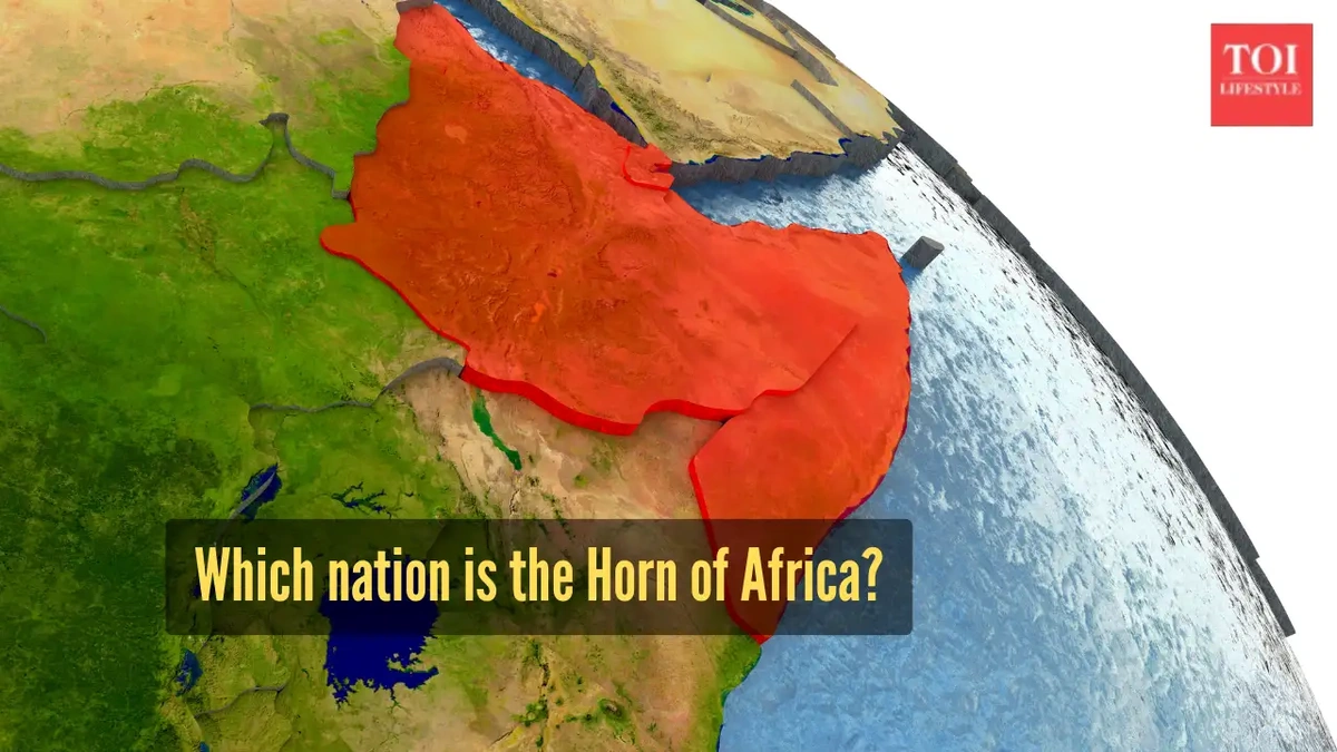 Africa Splitting | New Ocean Forming?!